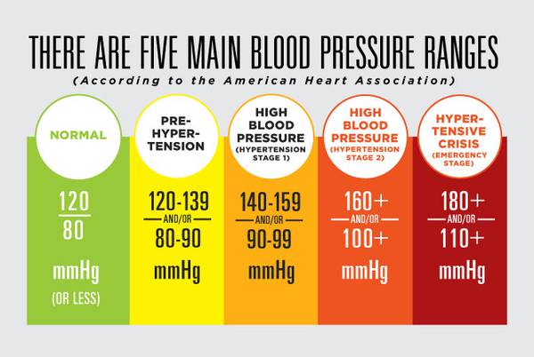 Understanding The Highs And Lows Of Your Blood Pressure Reading Las Understanding The Highs And Lows Of Your Blood Pressure Reading Las